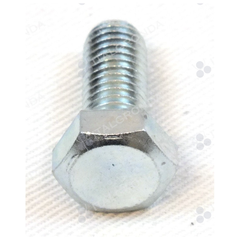 BULLONE ZINCATO M8 e M10 X20mm