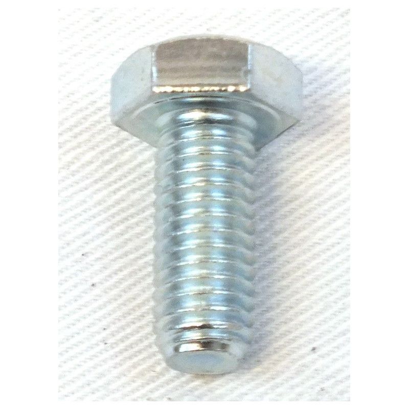 BULLONE ZINCATO M8 e M10 X20mm