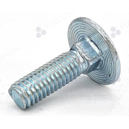 VITE TESTA TONDA C/QUADRO SOTTO TESTA M6X20 4.8 ZB