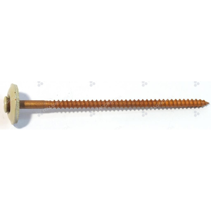 VITE INOX A2 COL. B/G Ø4,5X100 C/ROND Ø20 E GUARNIZ.